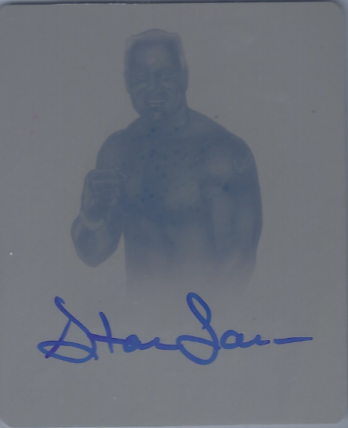 Originals Auto Update Plate Stan Lane - Checklistcenter.com